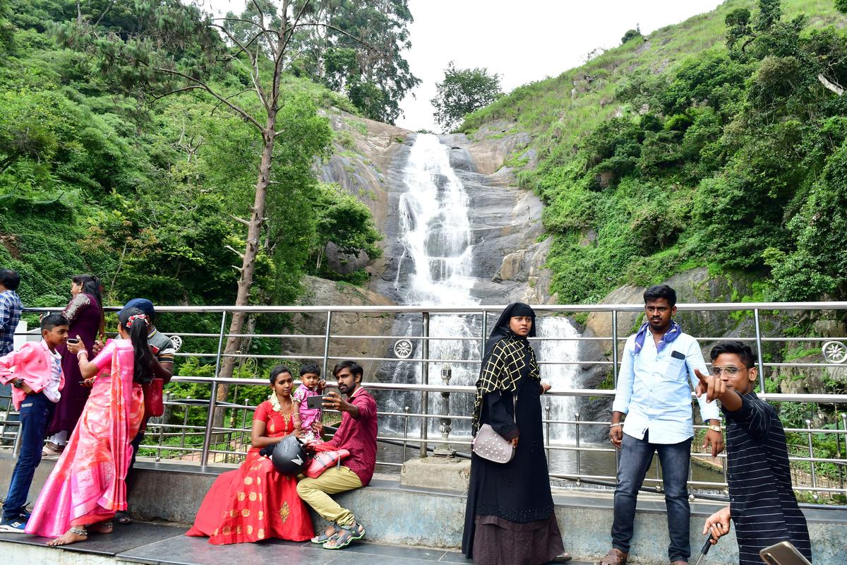 Kodaikanal | The hills are (barely) alive - The Hindu